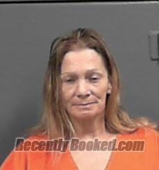 Recent Booking / Mugshot for Donna Yvonna Shilling in Wayne County ...