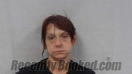Recent Booking / Mugshot for April Dawn Tanner in Webster County, West ...
