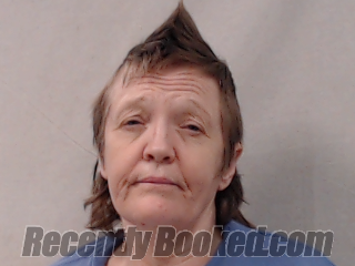 Recent Booking / Mugshot for Tabitha Lee Wood in Webster County, West ...
