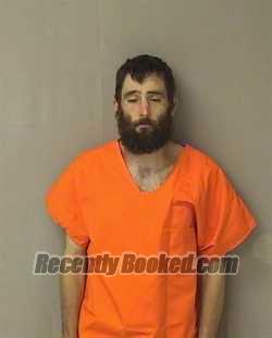 Recent Booking / Mugshot for Aaron Sean Davis in Wood County, West Virginia