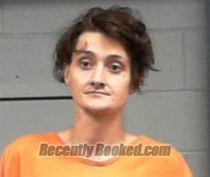 Recent Booking / Mugshot for Brandon Michael Zirkle in Wood County ...