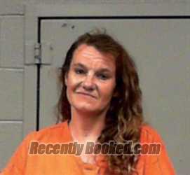 Recent Booking / Mugshot for Tara Ann Shearer in Wood County, West Virginia