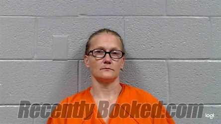 Recent Booking / Mugshot for April Renee Hendricks in Wyoming County ...