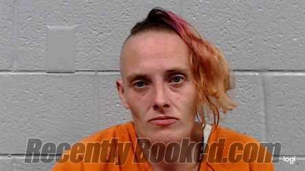 Recent Booking / Mugshot for Jessica Danielle Stone in Wyoming County ...