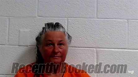 Recent Booking / Mugshot for Kathy Denise Gilley in Wyoming County ...