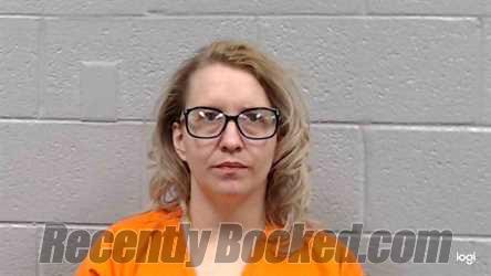 Recent Booking / Mugshot for Kayla Michelle Baylis in Wyoming County ...