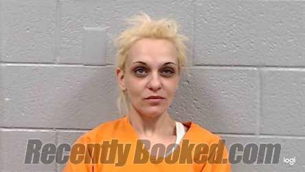 Recent Booking / Mugshot for Lashawna Beth Huff in Wyoming County, West ...