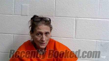 Recent Booking / Mugshot for Sharon Lynn Workman in Wyoming County ...