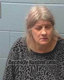 DEBRA LYNN PHILLIPS Arrest Record & Booking Info – Adams County ...