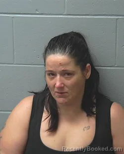 JESSICA ANN AMBROSE Arrest Record & Booking Info – Adams County ...