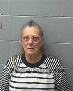 Recent Booking / Mugshot for LAURA ILENE LOPER in Adams County, Wisconsin