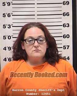 Recent Booking / Mugshot for Natasha Jean Schick in Barron County ...