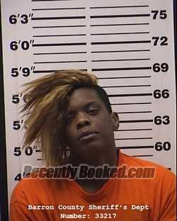 Recent Booking / Mugshot for Tiana Rae Oswald in Barron County, Wisconsin