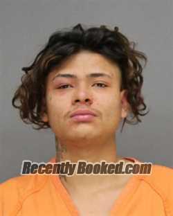 Recent Booking / Mugshot for JAHIR ALEXIS DE-LA-PENA-RODRIGUEZ in Brown ...