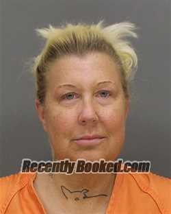 Recent Booking / Mugshot for ELIN DOROTHY BJORK in Brown County, Wisconsin