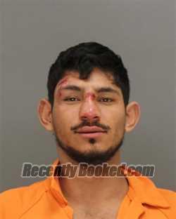 Recent Booking / Mugshot for MICHAEL JACKSON CENTENO-CASTRO in Brown ...
