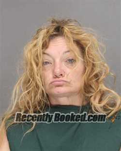 Jessica Anne Kelley Mugshot & Arrest Info | Brown County, WI