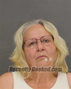 LISA ANN LARSON Arrest Record & Booking Info – Brown County, Wisconsin ...