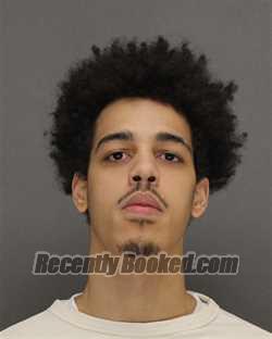 TREVON ALEXANDER HARPER Arrest Record & Booking Info – Brown County ...