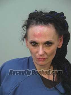 Recent Booking / Mugshot for TOSHA MARIE OLSON in Dane County, Wisconsin