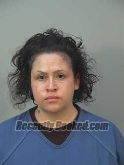 Recent Booking / Mugshot for FELISHA MARIA WEBER-DOMINGUEZ in Dane ...