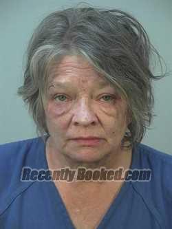 Recent Booking / Mugshot for SUSAN LEE BONK in Dane County, Wisconsin