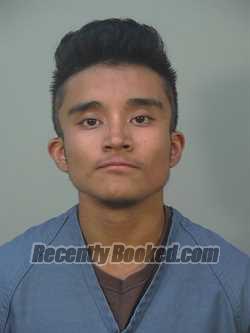 Recent Booking / Mugshot for AME PINEDA in Dane County, Wisconsin