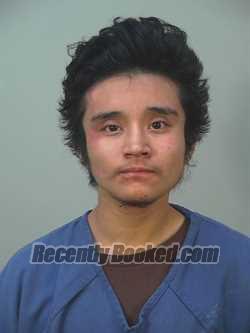 Recent Booking / Mugshot for AME PINEDA in Dane County, Wisconsin