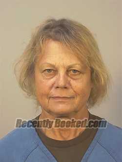 KAREN LYNN HILL Arrest Record & Booking Info – Dane County, Wisconsin ...