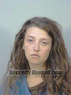 ANGELIQUE ELINOR CASTLE Arrest Record & Booking Info – Dane County ...