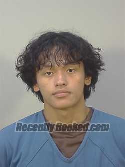 Recent Booking / Mugshot for CHIXING T THAO in Dane County, Wisconsin