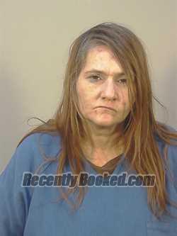 Recent Booking / Mugshot for DENISE FRANCES WASHBURN in Dane County ...