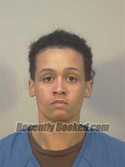 Recent Booking / Mugshot for DANIELLE ANGELIQUE MILLS in Dane County ...