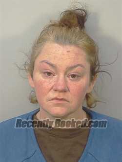 Recent Booking / Mugshot for KRISTINA G STEVENS in Dane County, Wisconsin
