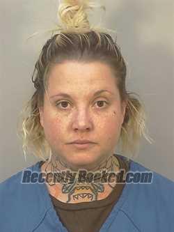Recent Booking / Mugshot for MEGAN ANNA MARIE POLHEBER in Dane County ...