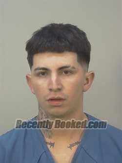 Recent Booking / Mugshot for JUNIER JOEL TALAVERA FAJARDO in Dane ...