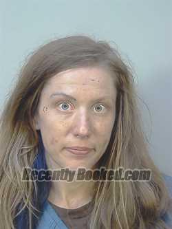 Jamie Loretta May Anderson Mugshot & Arrest Info | Dane County, WI