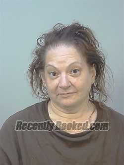 Recent Booking / Mugshot for CHERYL ANN FINCH in Dane County, Wisconsin