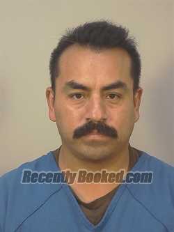 Recent Booking / Mugshot for GONZALO DOMINGUEZ MEJIA in Dane County ...