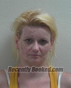 Recent Booking / Mugshot for AMBER J BRIGGS in Douglas County, Wisconsin