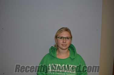 Recent Booking / Mugshot for CHEYENNE LARAE MASANZ in Marathon County ...