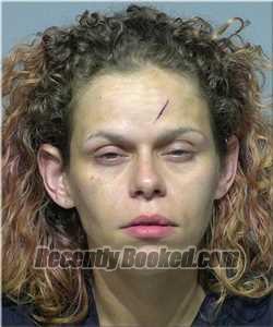 Recent Booking / Mugshot for Heidi Fuller in Milwaukee County, Wisconsin