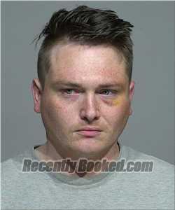 Recent Booking / Mugshot for George Panagopoulos in Milwaukee County ...