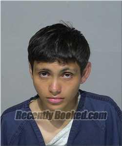 Recent Booking / Mugshot for Sara Cruz Reyes in Milwaukee County, Wisconsin
