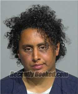 Parisa Ahangaran Arrest Record & Booking Info – Milwaukee County ...