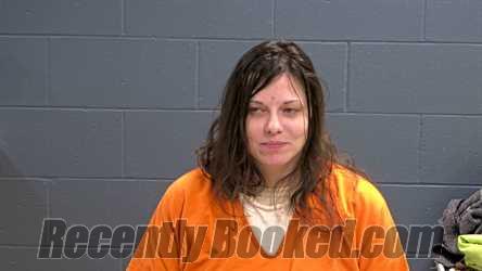Recent Booking / Mugshot for Sarah J Dahl in Oconto County, Wisconsin