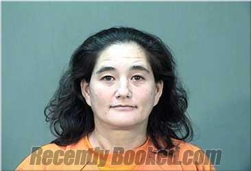 Recent Booking / Mugshot for Christine Daikawa in Ozaukee County, Wisconsin