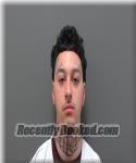 Recent Booking / Mugshot for Andre Salcedo in Racine County, Wisconsin