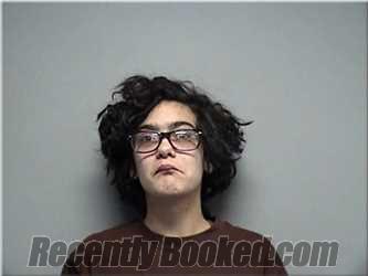Recent Booking / Mugshot for Adeline Butler in Walworth County, Wisconsin