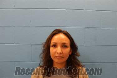 Recent Booking / Mugshot for VERONICA ALICIA CHAPA in Guadalupe County ...